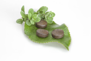 Botanical Chewables: A Modern Approach to Natural Wellness
